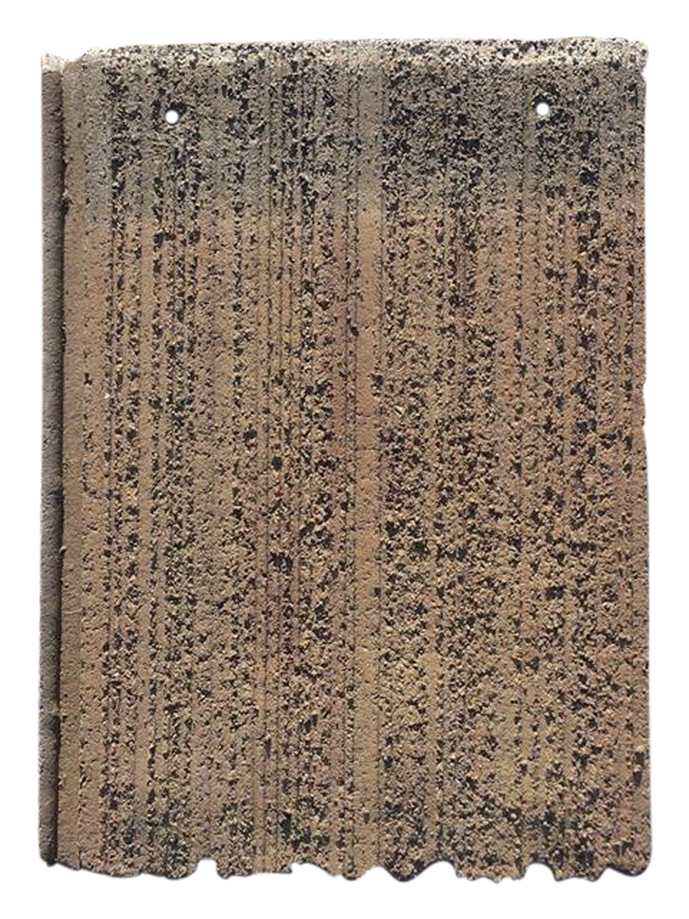 Eagle Shake / Ponderosa – Custom Tile Roofing